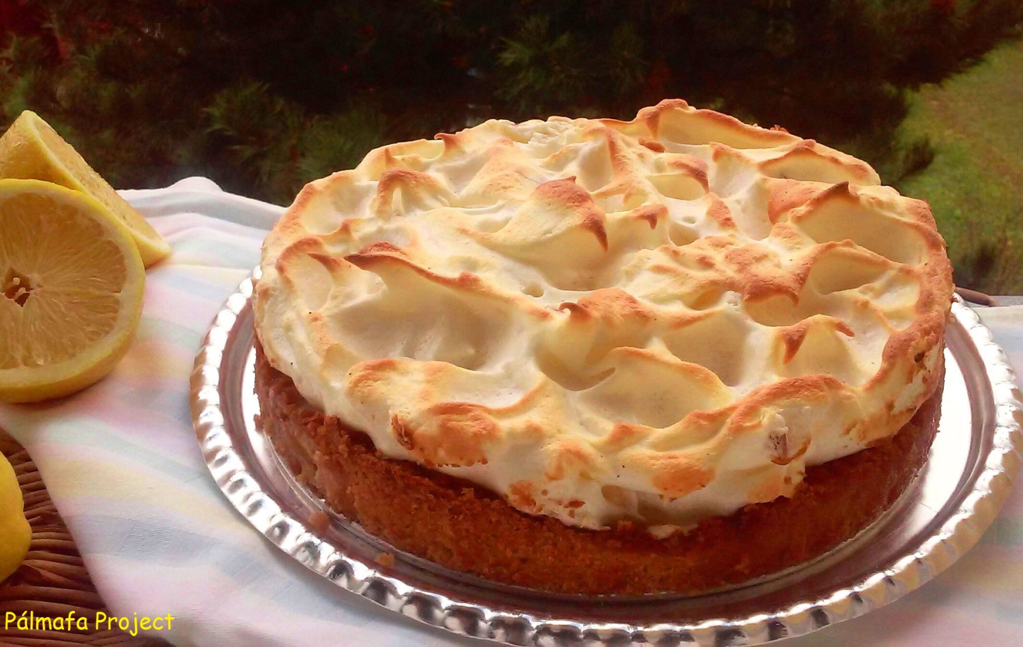 Olasz citromtorta | Pálmafa Project